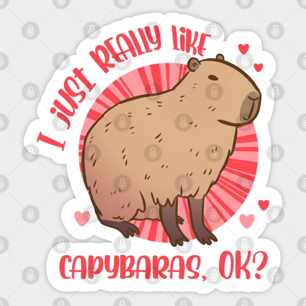 I just really like capybaras OK? - Capybara Art - Sticker | TeePublic
